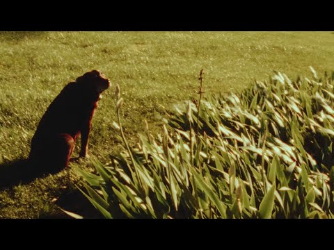 Hope is somewhere down the line | BMPCC4K | Film Emulation | Ultra-wide ...