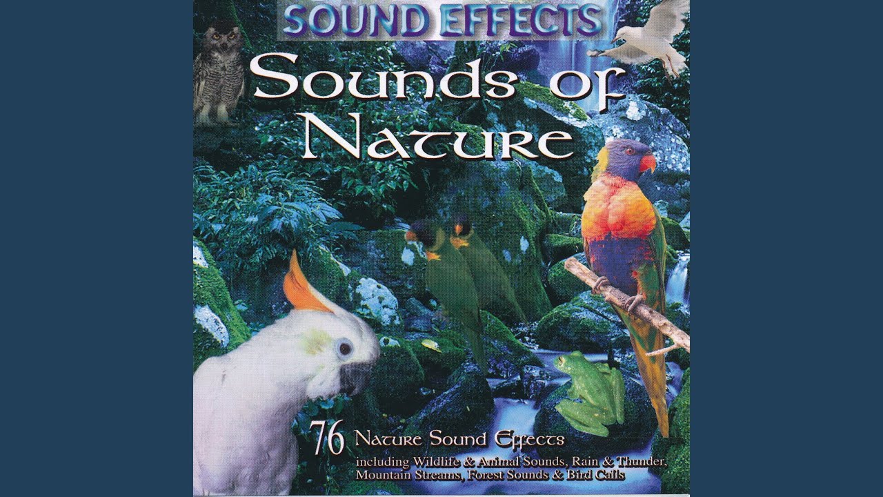 Large Dog Barking - YouTube