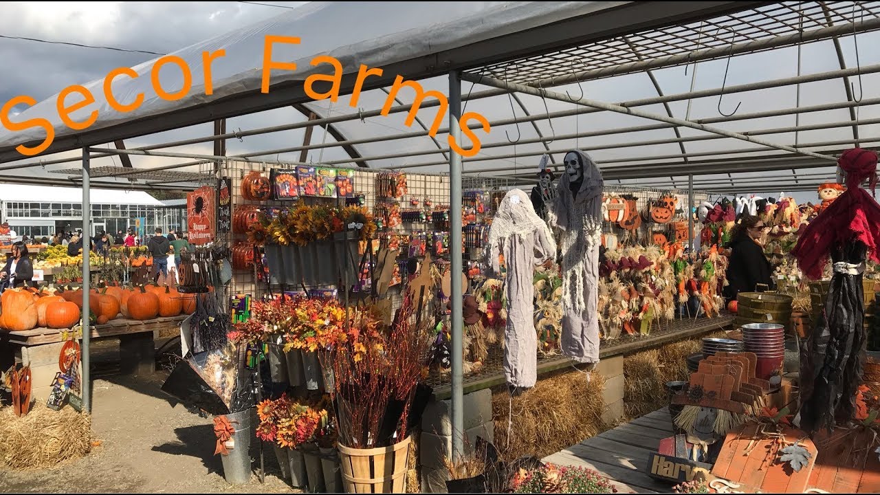 Secor Farms | Pumpkin Patch Hayride | Cornfield Maze - YouTube