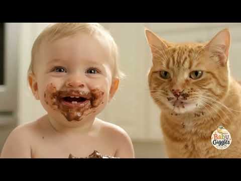 Funny Baby Moments with Cat | Funny Baby and Cat 😺 👶| Non Stop Laughing and Giggles