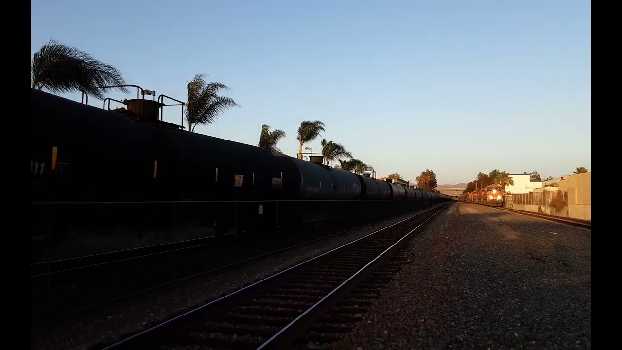 What the?! CSX, Half Fakebonnet and half pumpkin, 2 Fakebonnets,and a ...