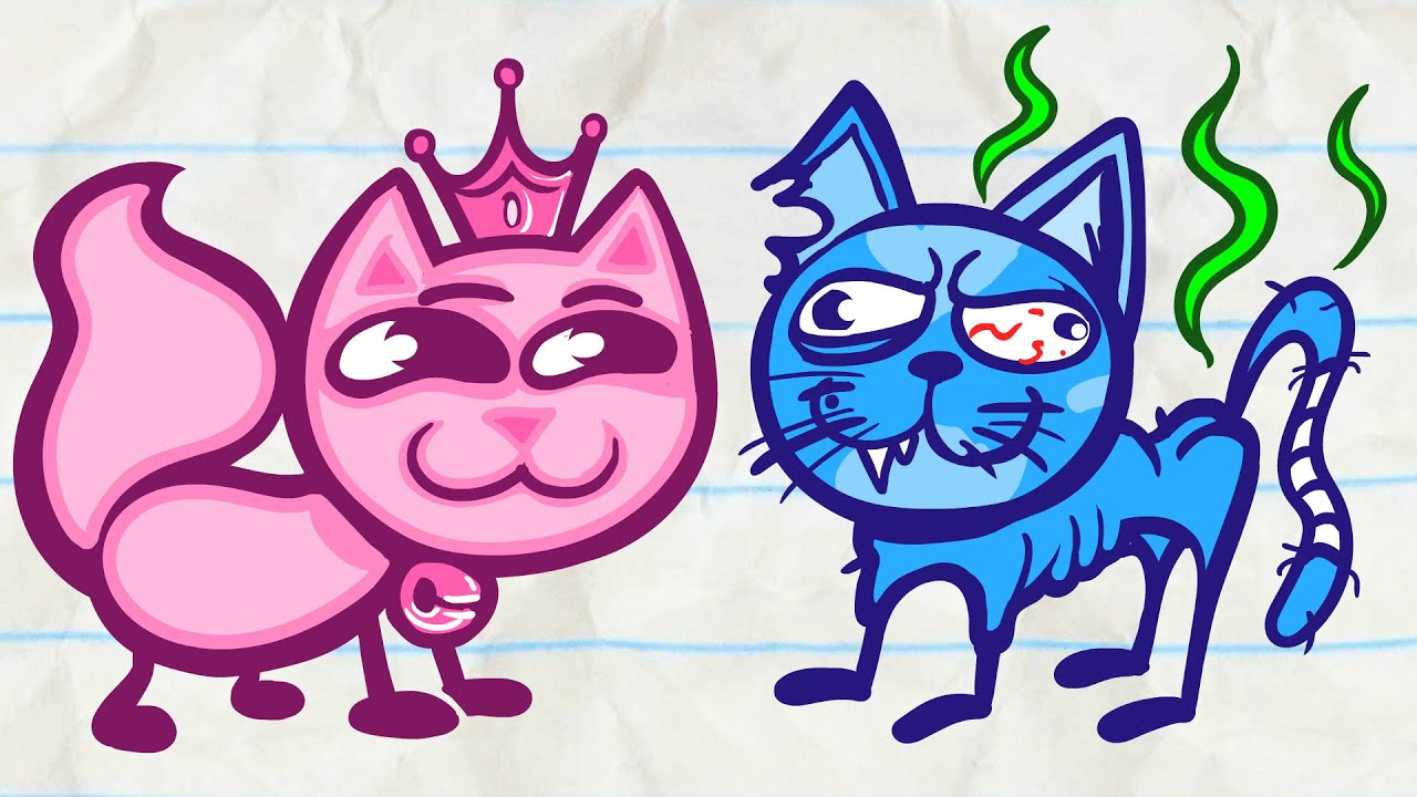 Pencilmate's Cat Wants To Sleep! | Animated Cartoons Characters ...