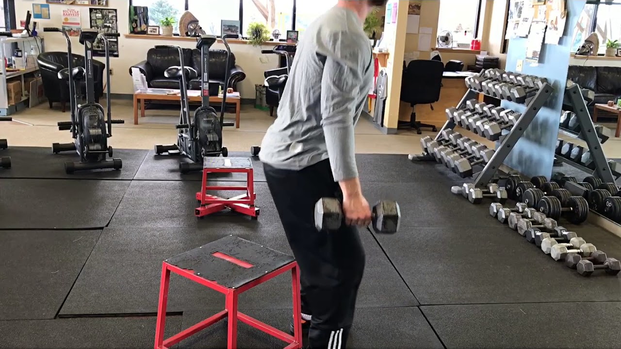 DUMBBELL BOX SQUAT - YouTube