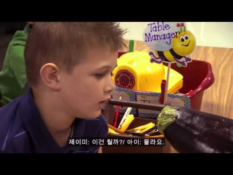 [TED+강연정류장] 모든 아이들에게 음식에 대해 가르칩니다 - 제이미 올리버 - YouTube