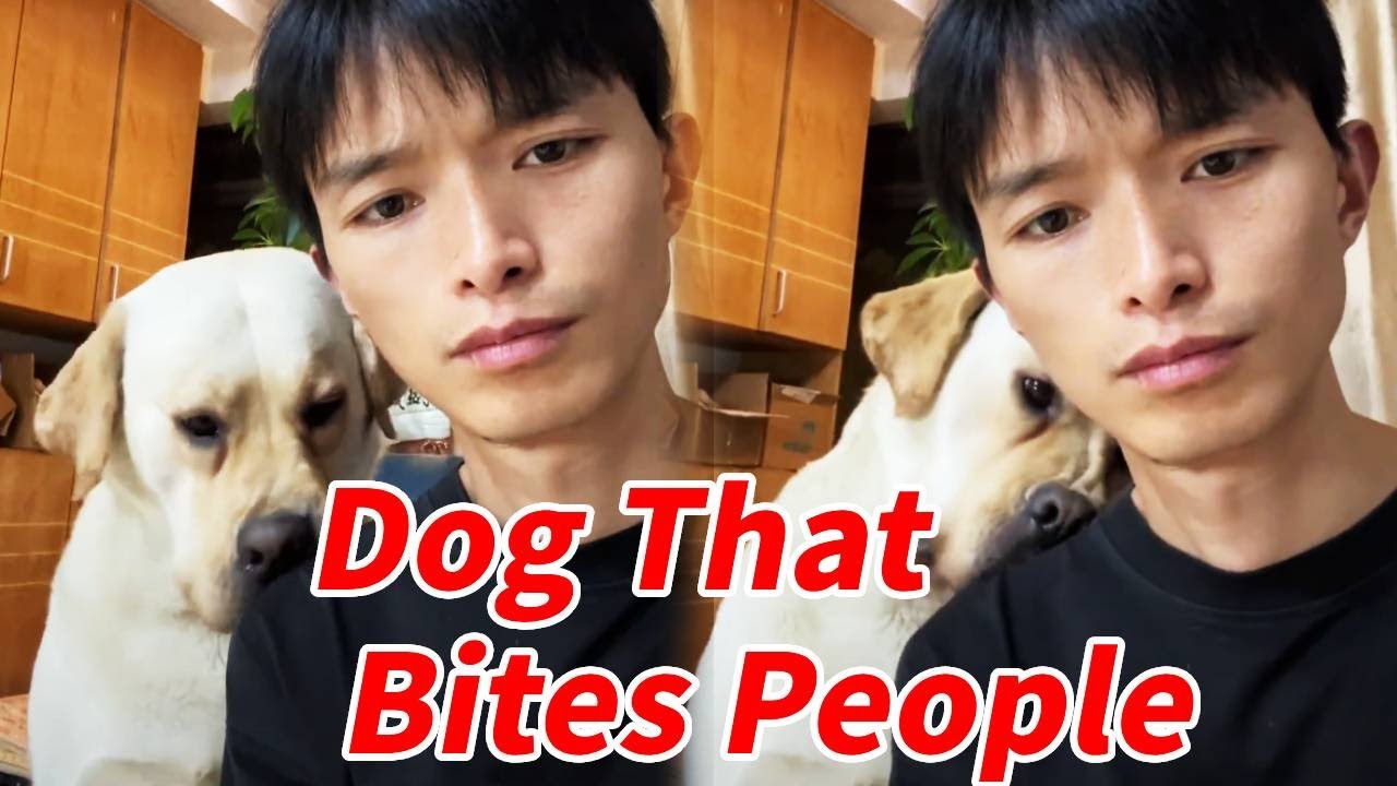 What Kind Of Weird Habit Does The Seventh Princess Have? She Likes To ...