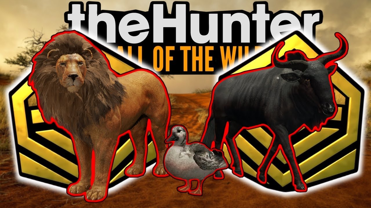 A Piebald Duck?!? + Back to Africa - theHunter Call of the Wild - YouTube