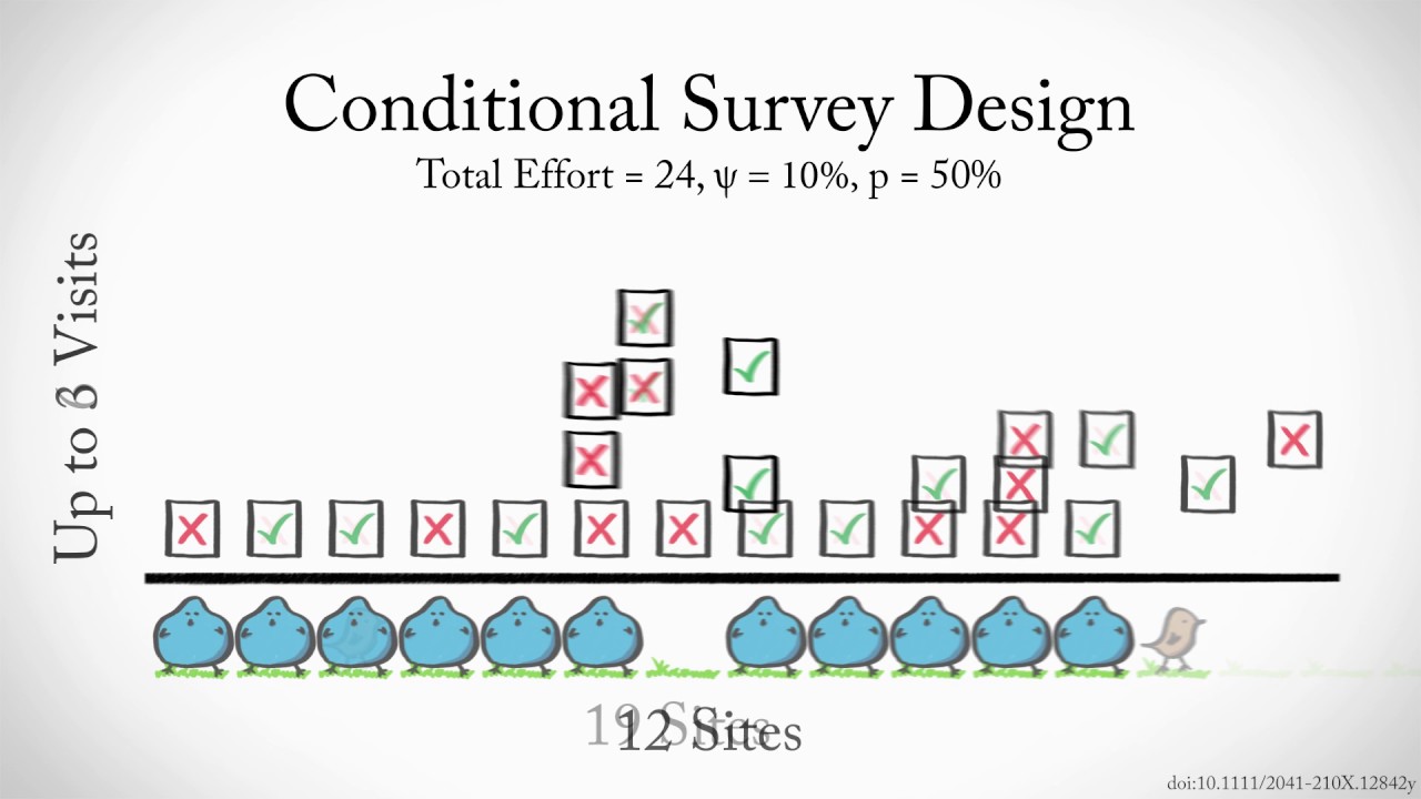Conditional Occupancy Design Explained - YouTube