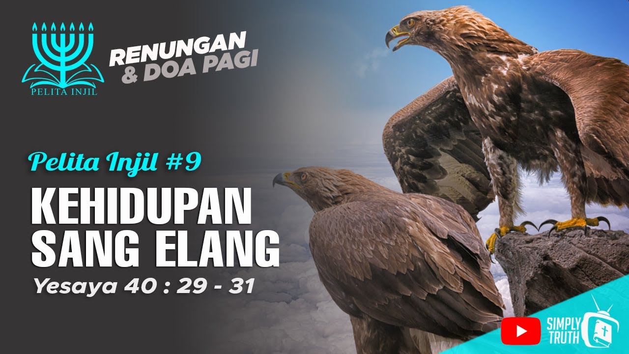 KEHIDUPAN SANG ELANG / Yesaya 40 : 29 - 31 / Renungan Doa Pagi / PELITA INJIL - YouTube
