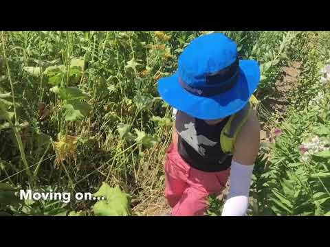 Hiking Tour in Svaneti | Mazeri | Mestia, Georgia | Petite Adventures