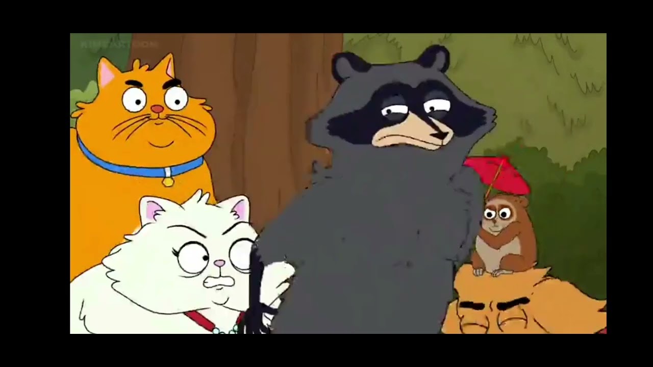 Housebroken - Chico Sits on Raccoon - YouTube