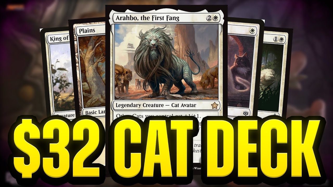 $32 Cat Deck for MTG - YouTube
