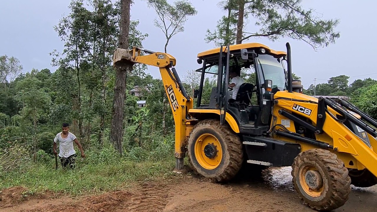 jcb cutting down a big tree - YouTube