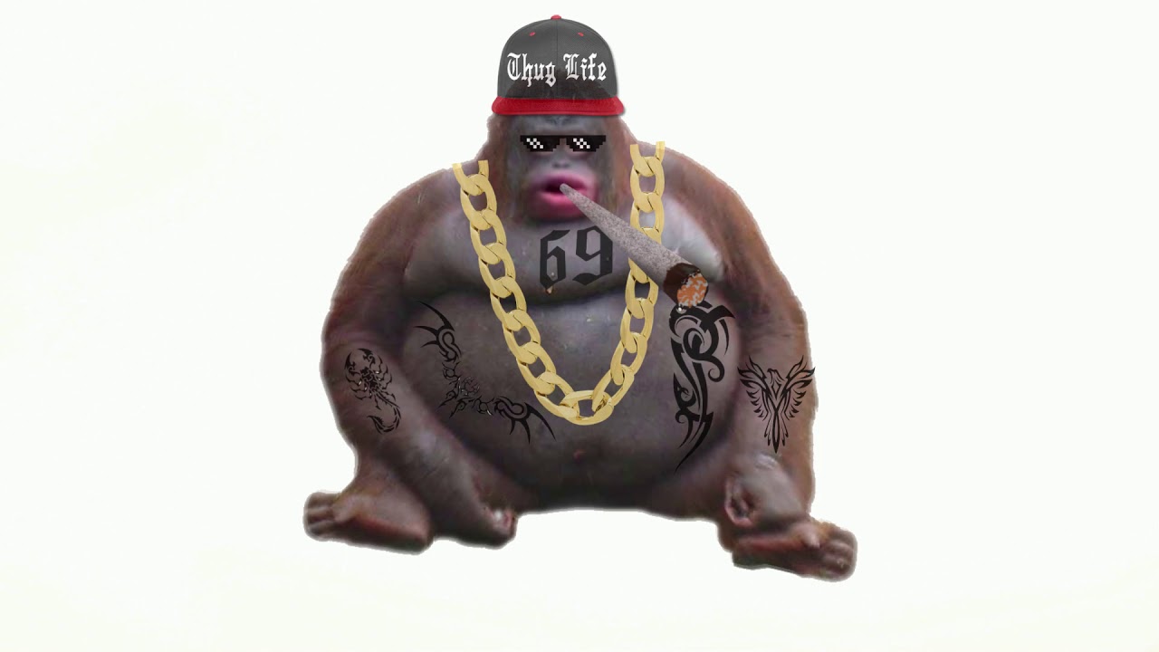 the cholo monke - YouTube