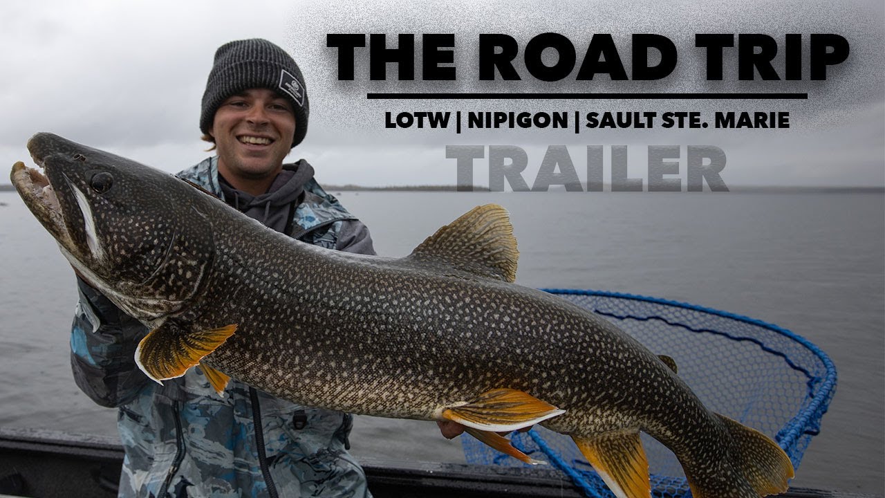 The Road Trip Trailer Youtube