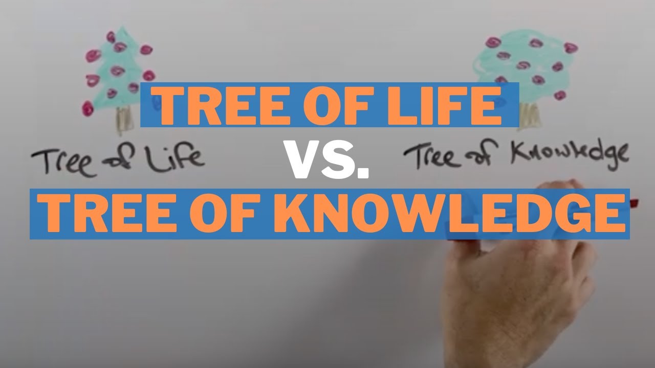 Tree of Life vs. Tree of Knowledge - YouTube