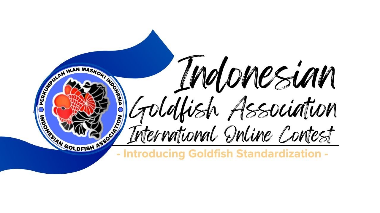 Live Broadcast of Judging for the Indonesian Goldfish Association ...