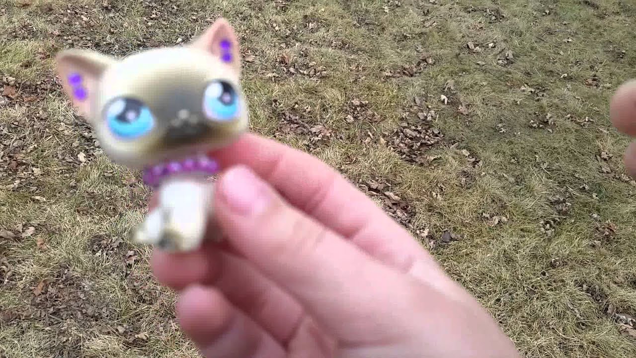 Lps popular girls part 1 the epic day - YouTube