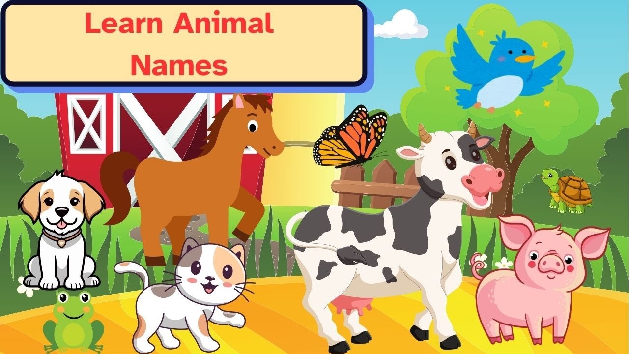 Learn Animal Names - YouTube