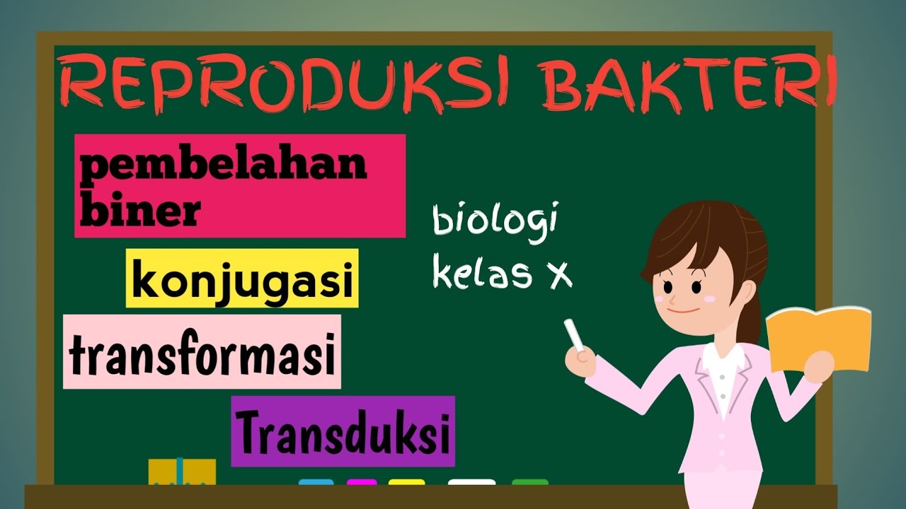 Pembelahan Biner, Konjugasi, Transformasi Dan Transduksi | Reproduksi ...