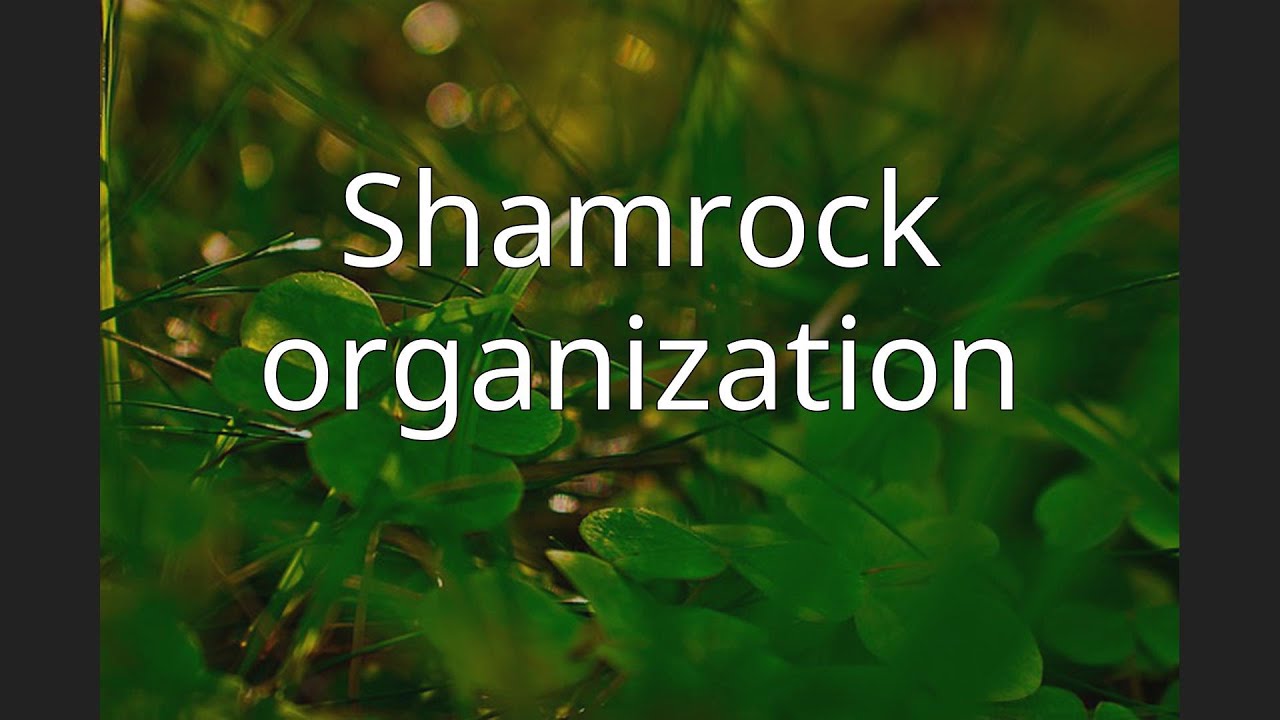 Shamrock organization - YouTube