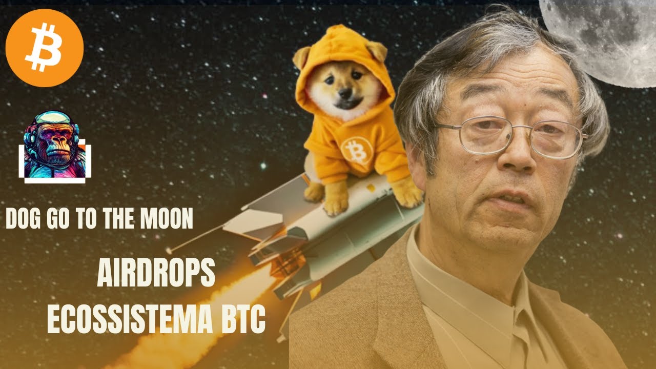 DOG GO TO THE MOON corrigindo | TGE airdrop ordzaar continuação - YouTube