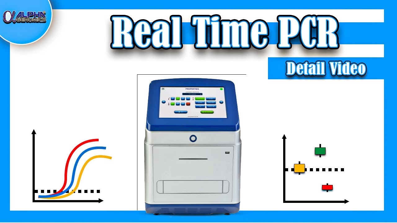 Real-Time PCR in Hindi / Urdu - Detail Explanation of Rt-PCR - Alpha ...