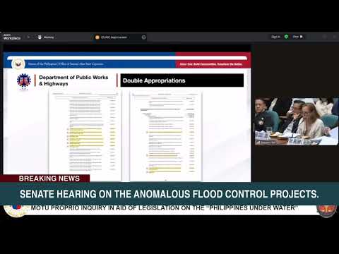 Flood Control Senate Hearing Coverage - YouTube