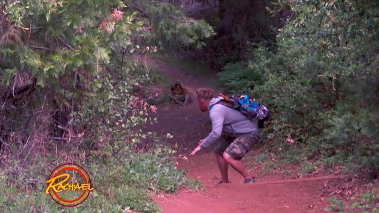 Watch Richard Blais Surprise Shocked Campers by Crashing Their Campsite ...