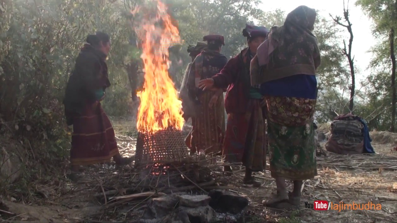 move to another place || village life || - YouTube