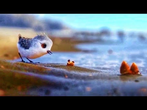 Tu Haqeeqat Hai Main Sirf Ehssas || Whatsupp Status || Special Nath