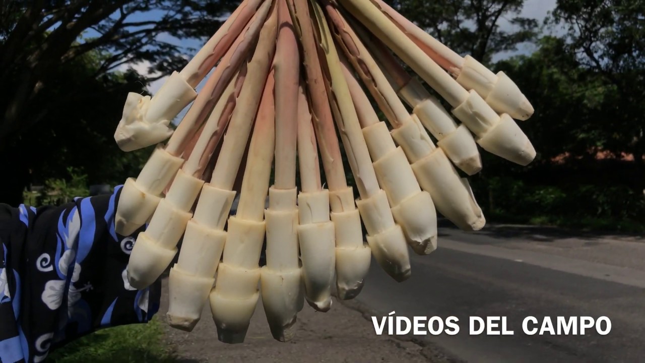 Comprando piñicos en la calle. - YouTube