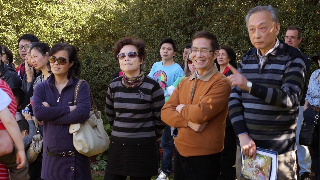 Ted Shackleton - Director - YouTube