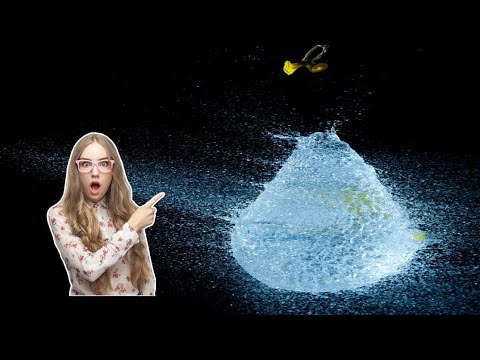 Slow Motion Balloon Experiment |Popping in Slow Motion Balloon - YouTube