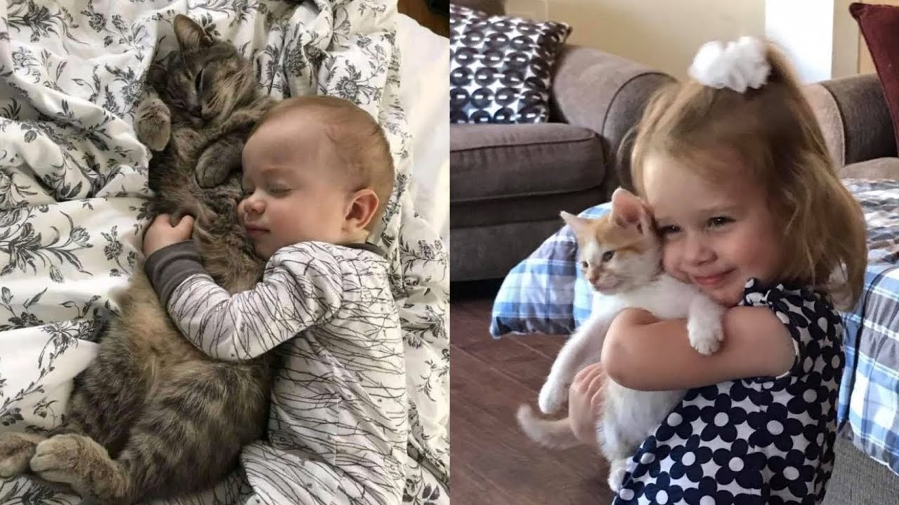 Cutest cats and babies ️ - YouTube
