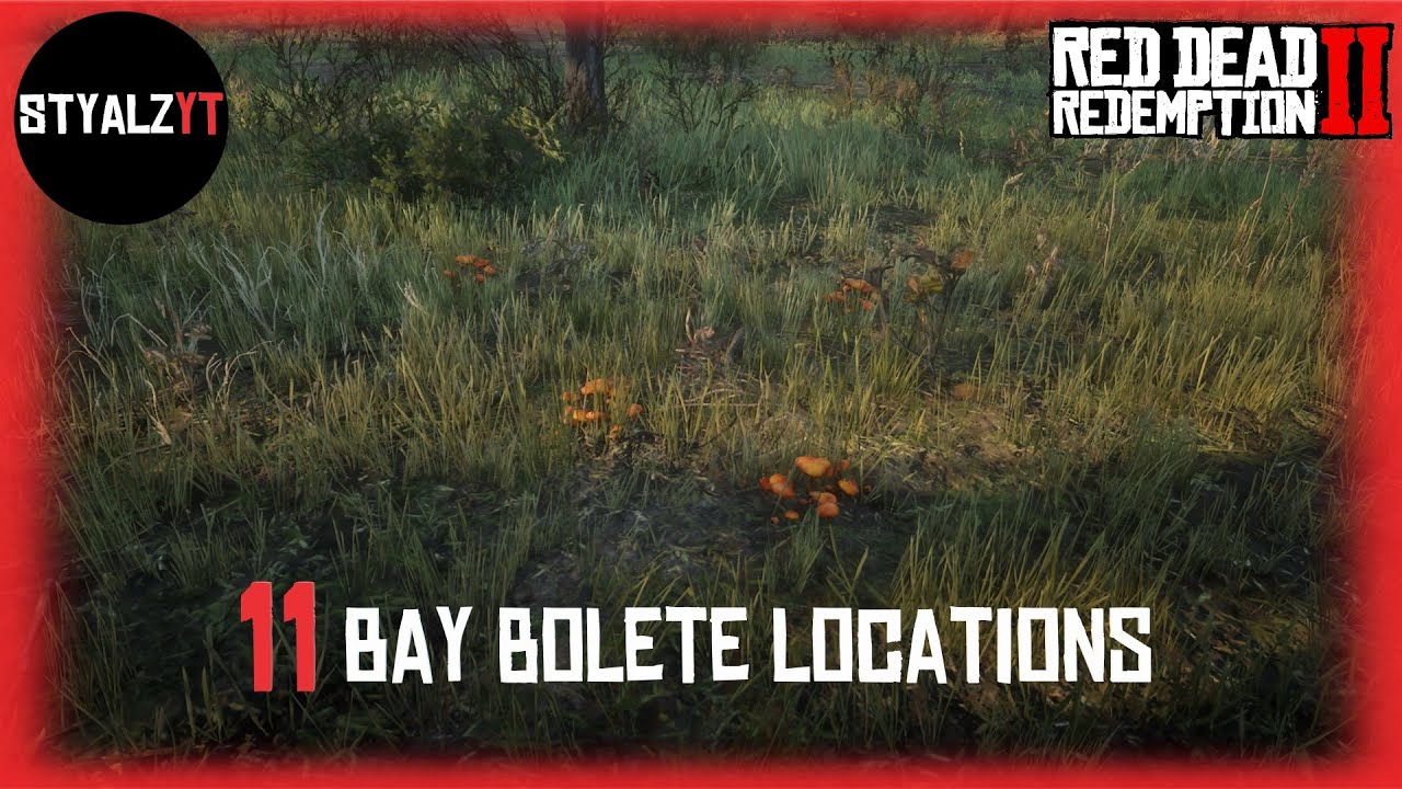 BAY BOLETE LOCATIONS RDR2 ONLINE **DAILY CHALLENGE** (XBOX & PS4) - YouTube