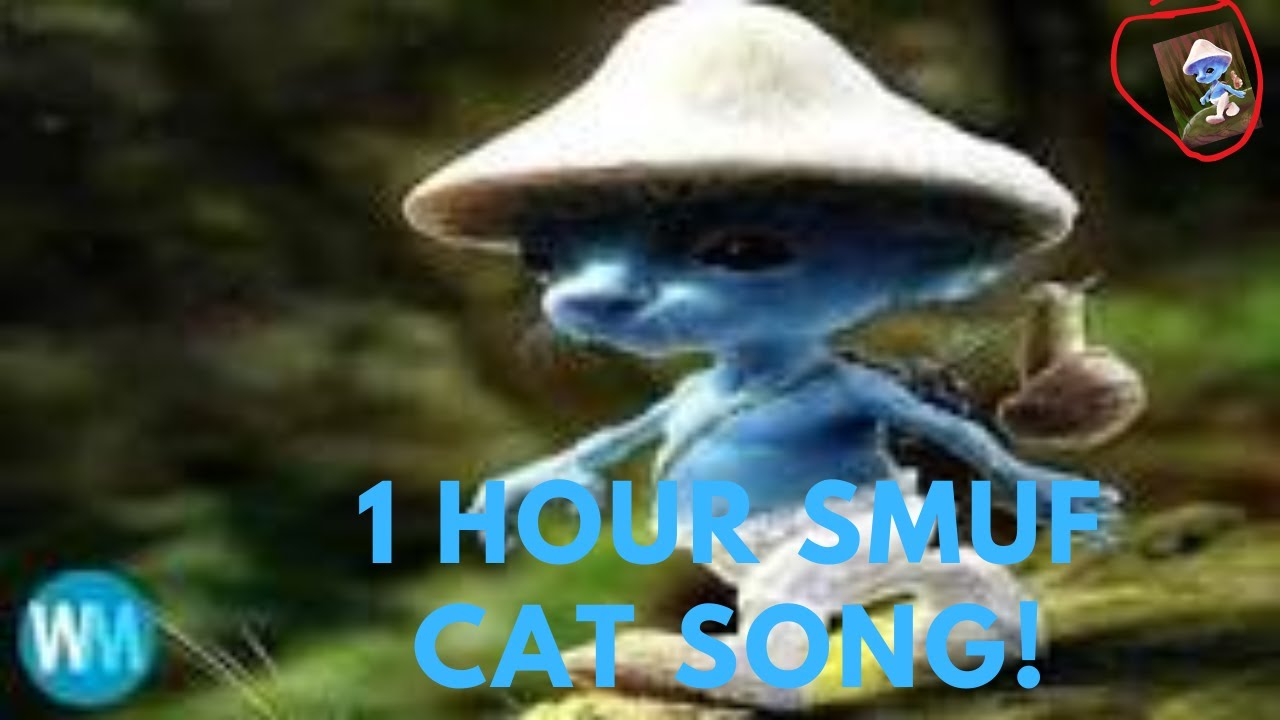 Smerf cat meme song Reverb sped up ( 1 Hour ) - YouTube