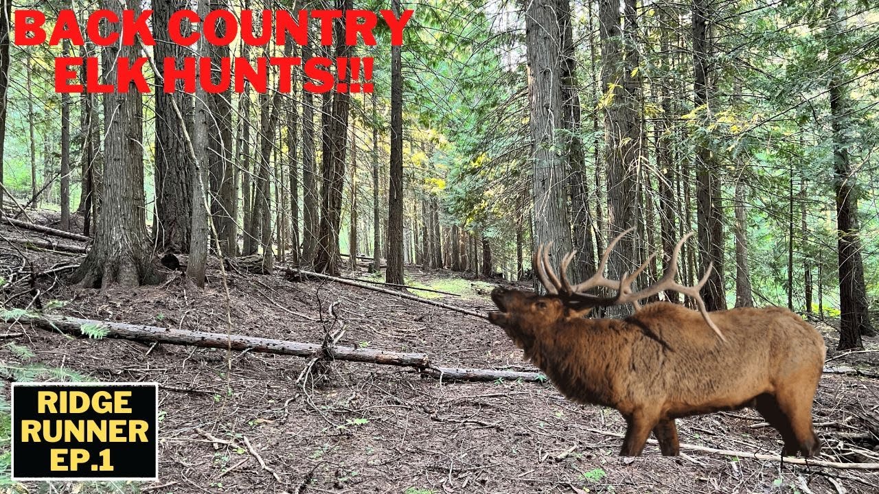 Back Country ELK Hunts! (*RIDGE RUNNER EP.1*) - YouTube