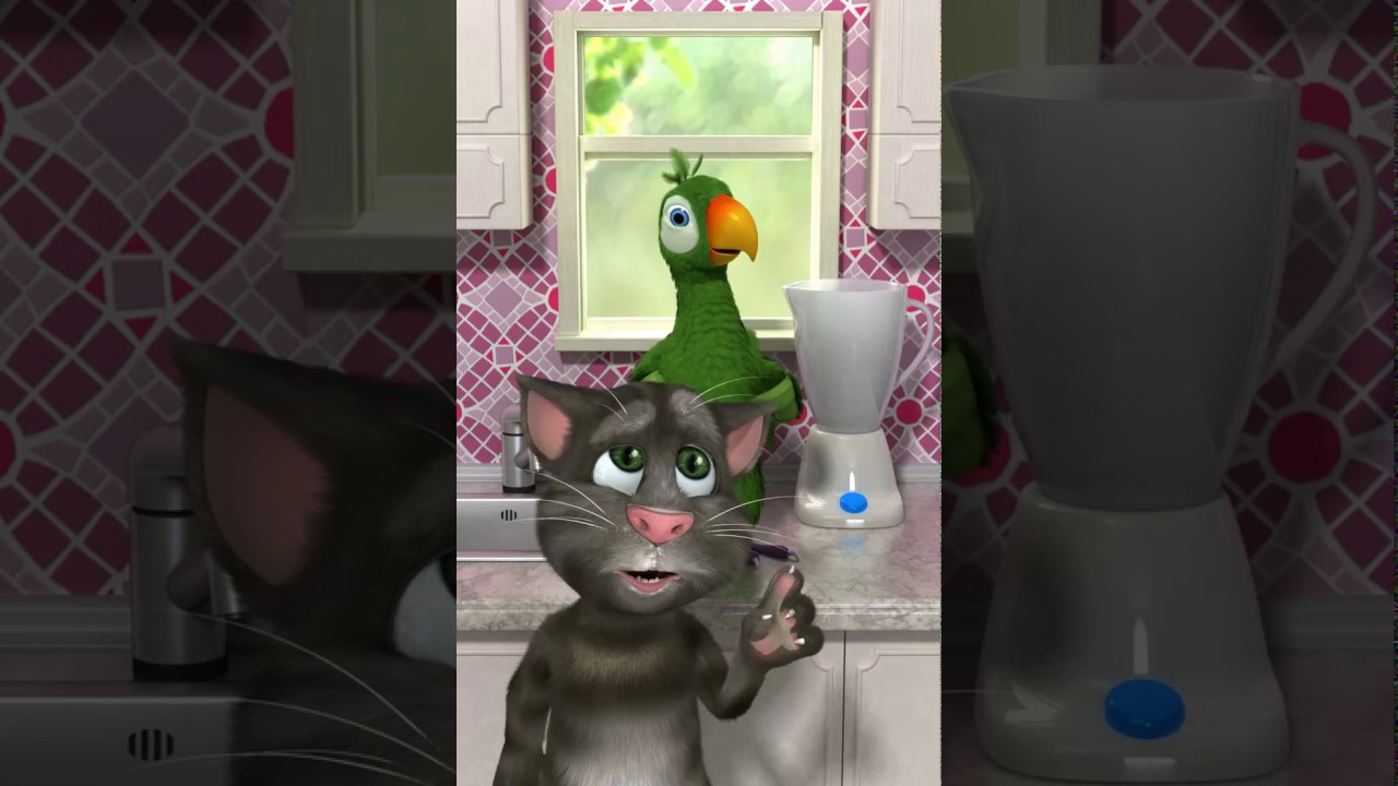 Talking Pierre the Parrot - YouTube