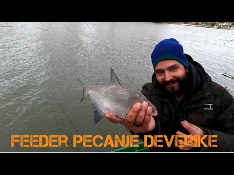 Feeder pecanje Deverike. Ribolov. Feeder fishing. - YouTube