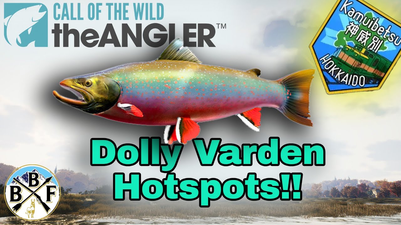 Beginner's Guide: Dolly Varden Trout - Best Lure & Hook Size | Call of ...