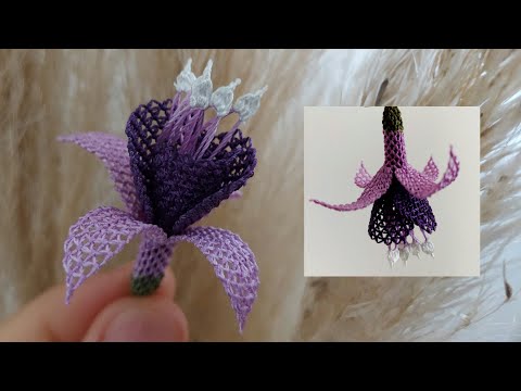 İĞNE OYASI KÜPE (KÜPELİ) ÇİÇEĞİ