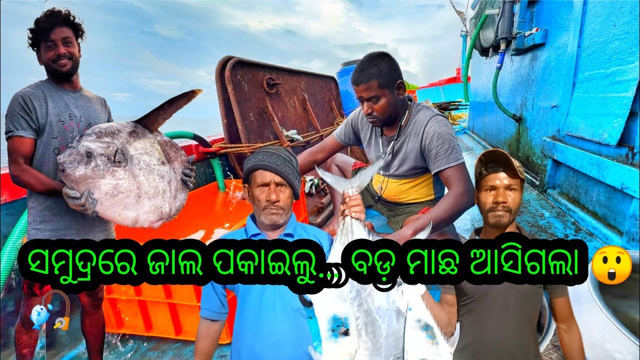 Fishing Nets & Fishing Reel in Odisha Sea 🎣 | Big Fish Catch | Odisha ...