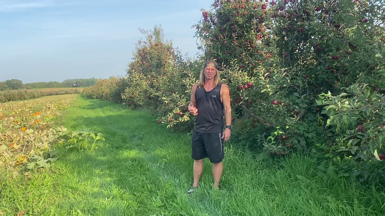 Pumpkin 🎃 Patch agility obstacle course - YouTube