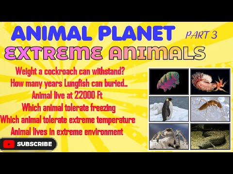 General Knowledge_Animal Planet_Extreme Animals_Part 3 - YouTube