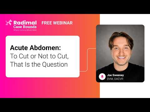 Acute Abdomen: To Cut or Not to Cut, That Is the Question