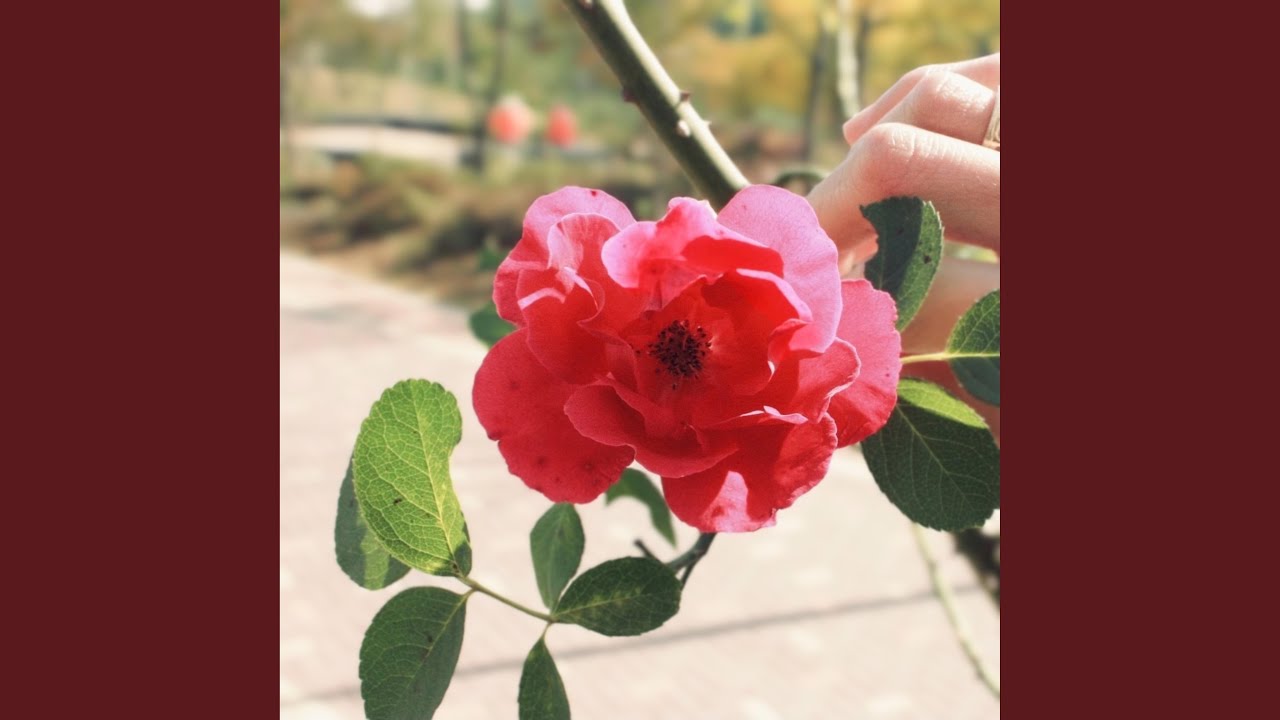 I am precious (instrumental) - YouTube