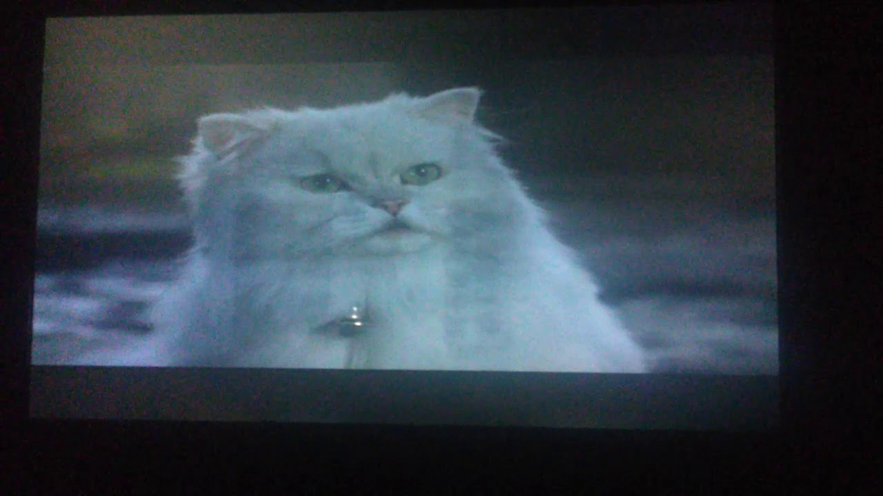 Stuart little 2 Monty talks about the falcon falcon lair - YouTube