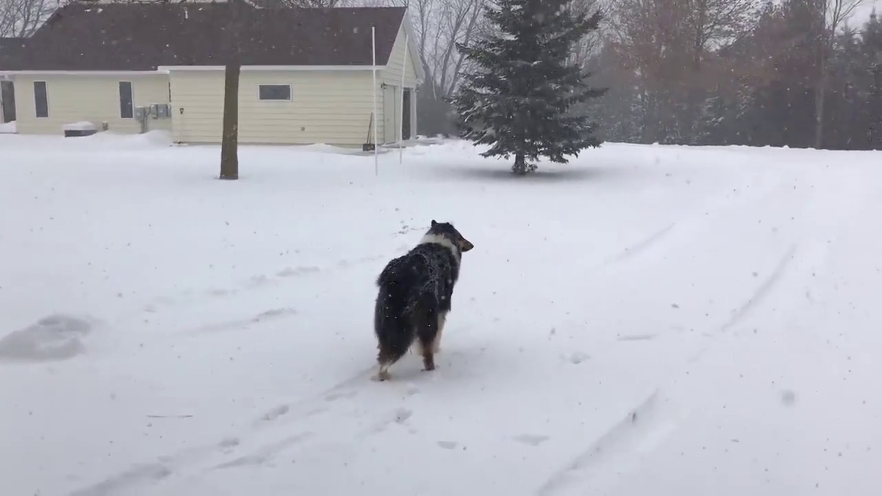 Bizarre April Weather--Minnesota - YouTube