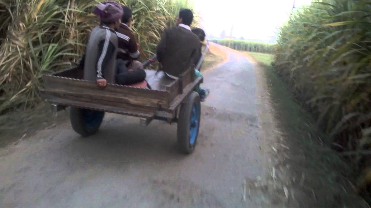Jhotta Buggi Race Dunger (muzaffarnager ) 2 - YouTube