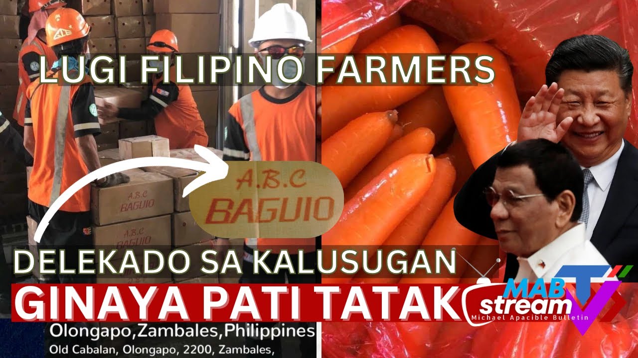 NILALA SON ANG PI NOY MGA GULAY GALING TSI NA POSIBLENG MAY PORMA LIN ...